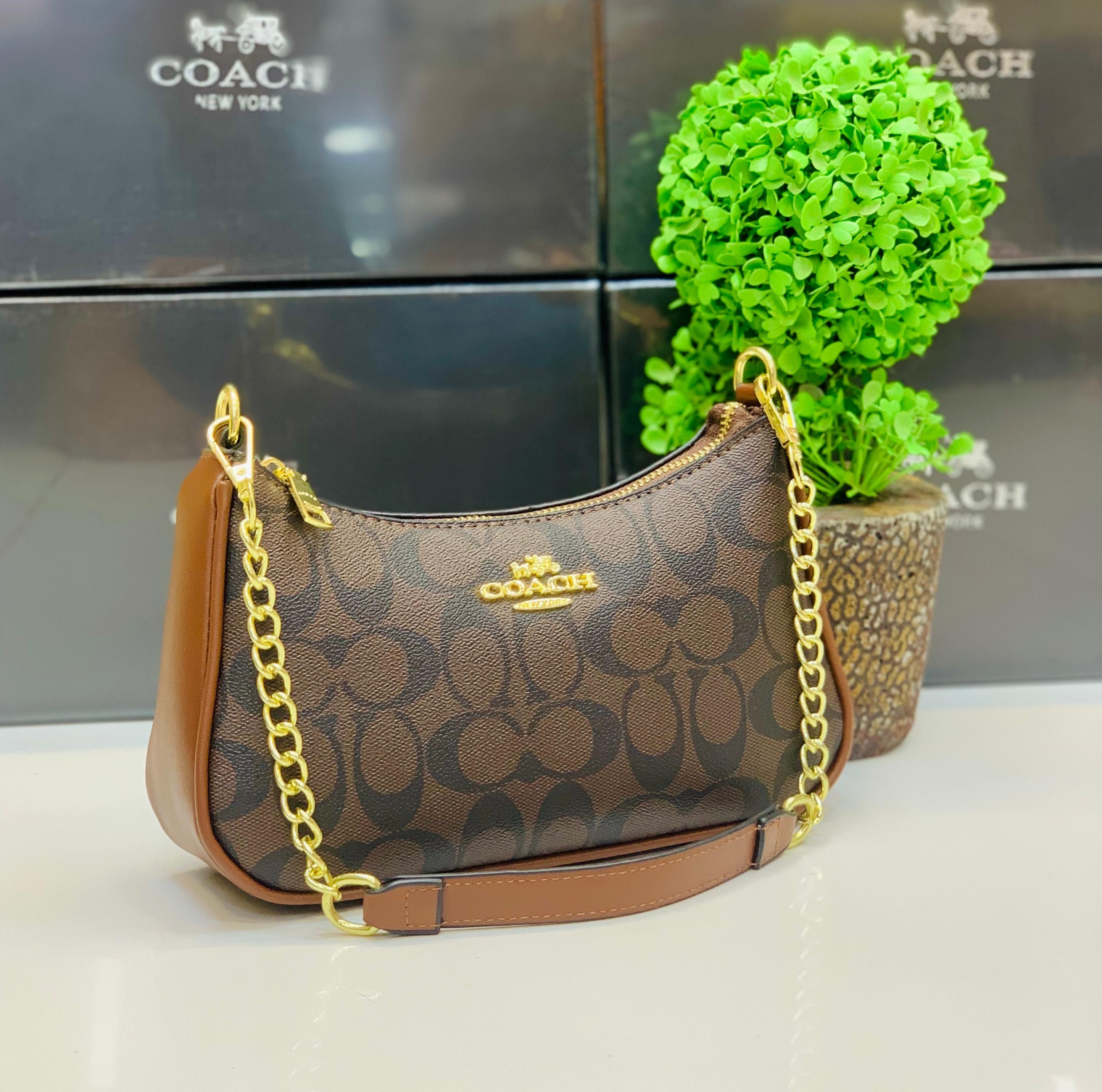 Coach bag ( 5 colors) – brandoneoriginals